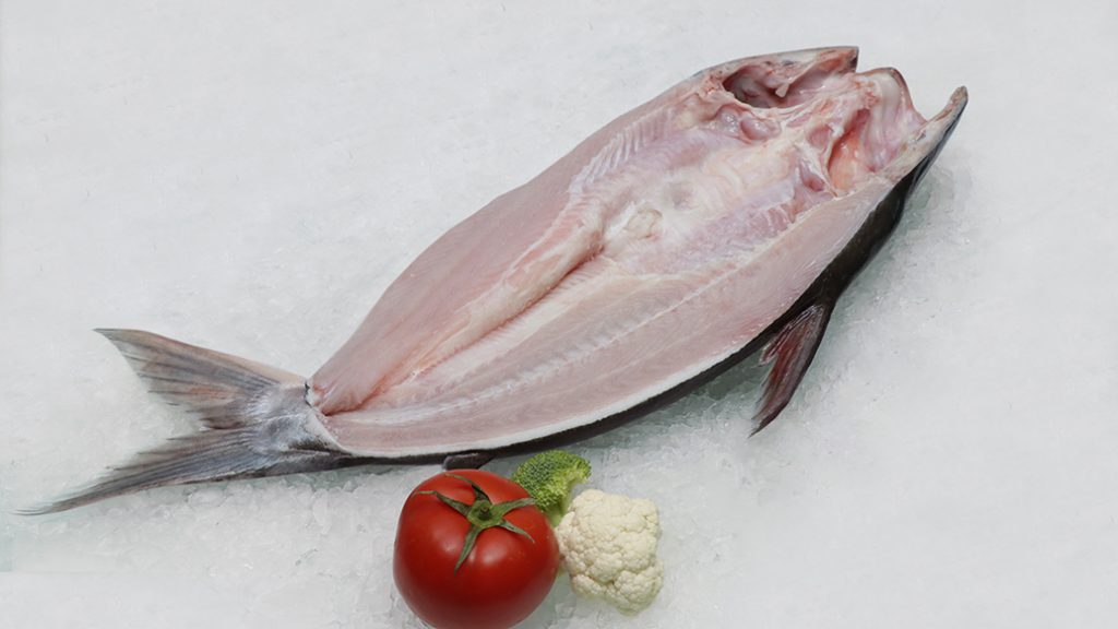 PANGASIUS / SWAI BUTTERFLY CUT - TJJ CO. LTD