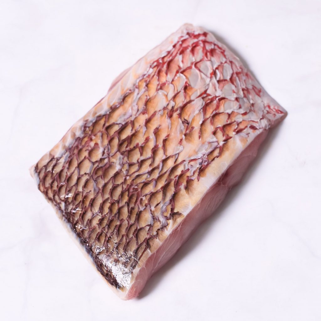 RED SNAPPER FILLET PORTION, SKIN-ON - TJJ CO. LTD